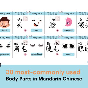 60 Flashcards With 30 Most-commonly Used Body Parts Flashcards in ...