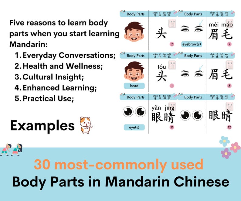 60 Flashcards With 30 Most-commonly Used Body Parts Flashcards in ...