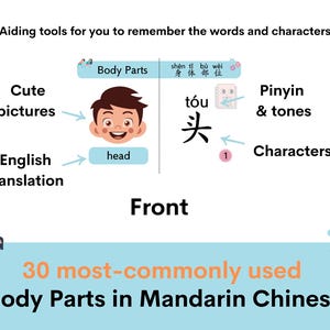 60 Flashcards With 30 Most-commonly Used Body Parts Flashcards in ...