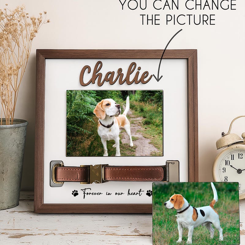 Dog Urn Box Collar Photo - Etsy