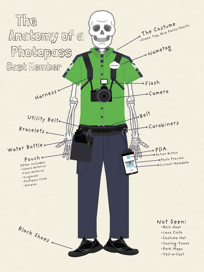 Photopass Cast Member- Anatomy Poster Design Wall Hanging-home Decor - Etsy