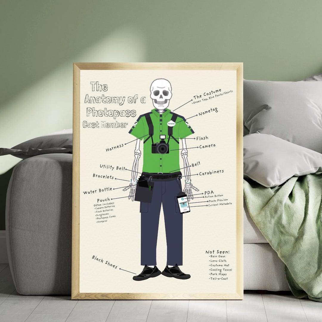 Photopass Cast Member- Anatomy Poster Design Wall Hanging-home Decor - Etsy