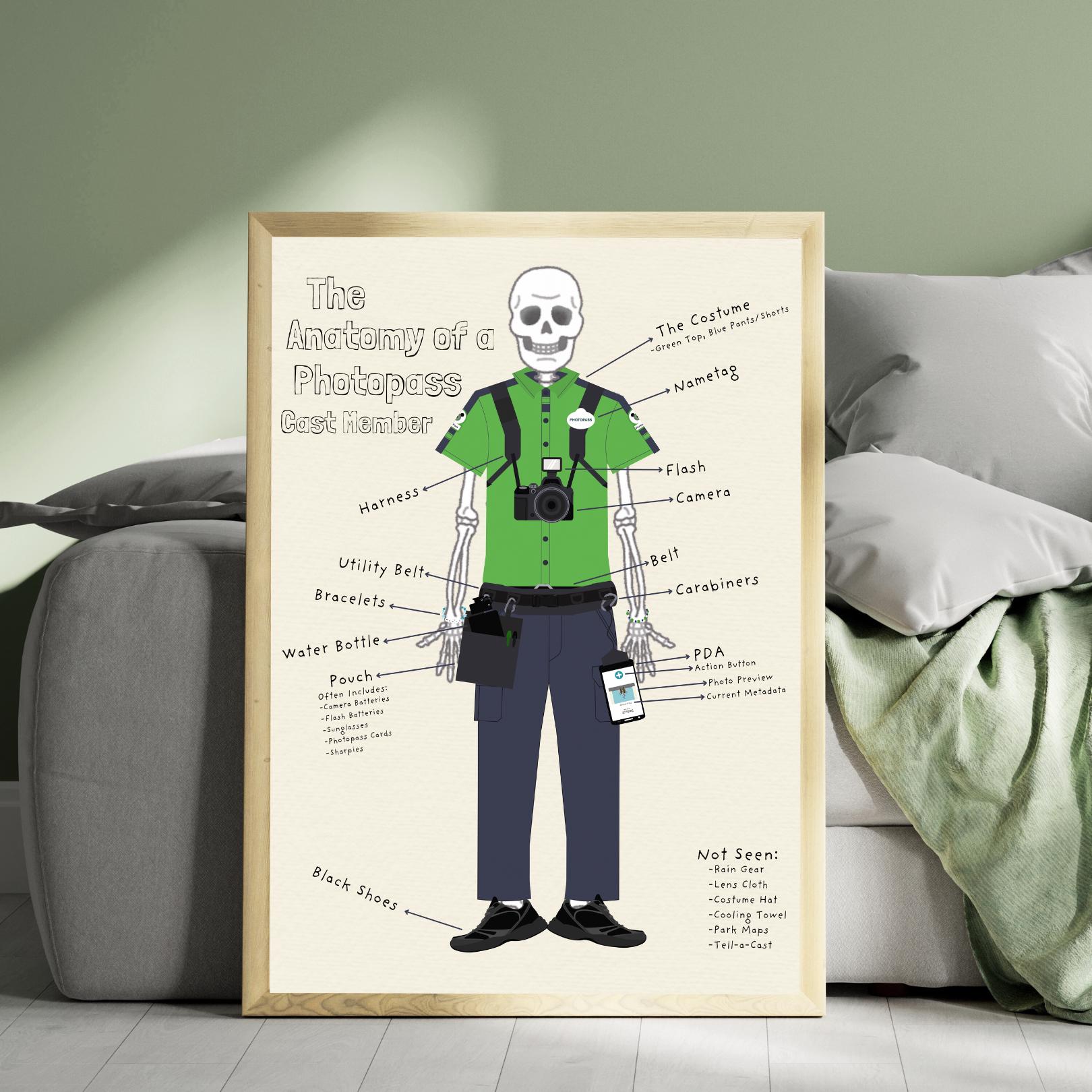 Photopass Cast Member- Anatomy Poster Design Wall Hanging-home Decor - Etsy