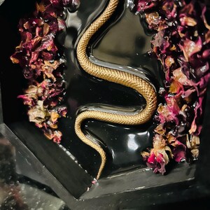 Snake Wall Art - Etsy