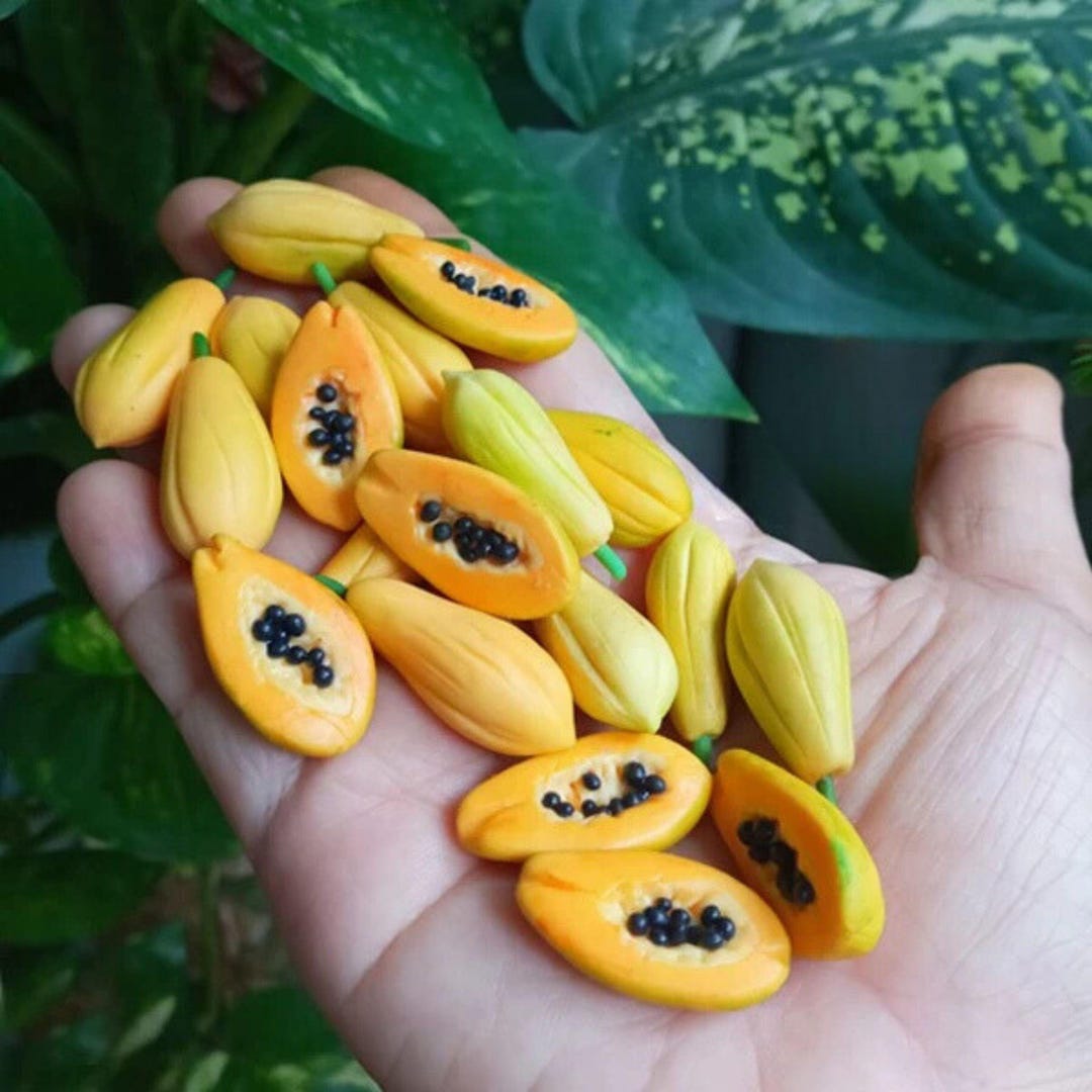 1:12 Papaya Mini Model, Fruits for Dollhouse, Handmade Doll Furniture ...