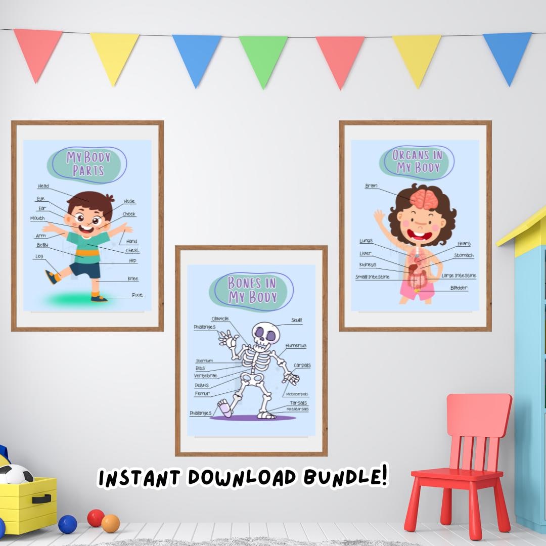 My Body Educational Posters Bundle: Anatomy Homeschool Printables ...