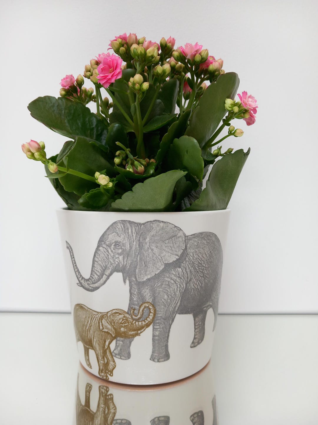 Elephant Plant Pot - Etsy