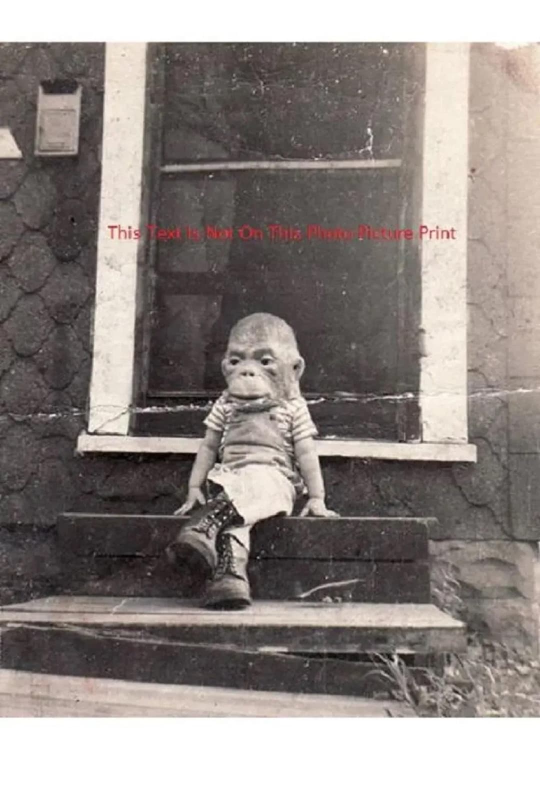 Scary Child Weird Sinister Vintage Photo Print Chilling Spooky ...
