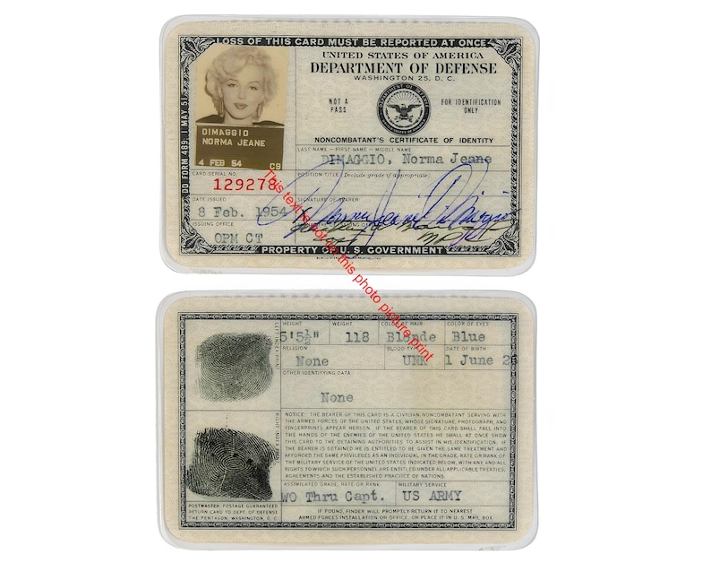 Marilyn Monroe 1950s Drivers License ID Norma Jeane Dimaggio Dept of ...