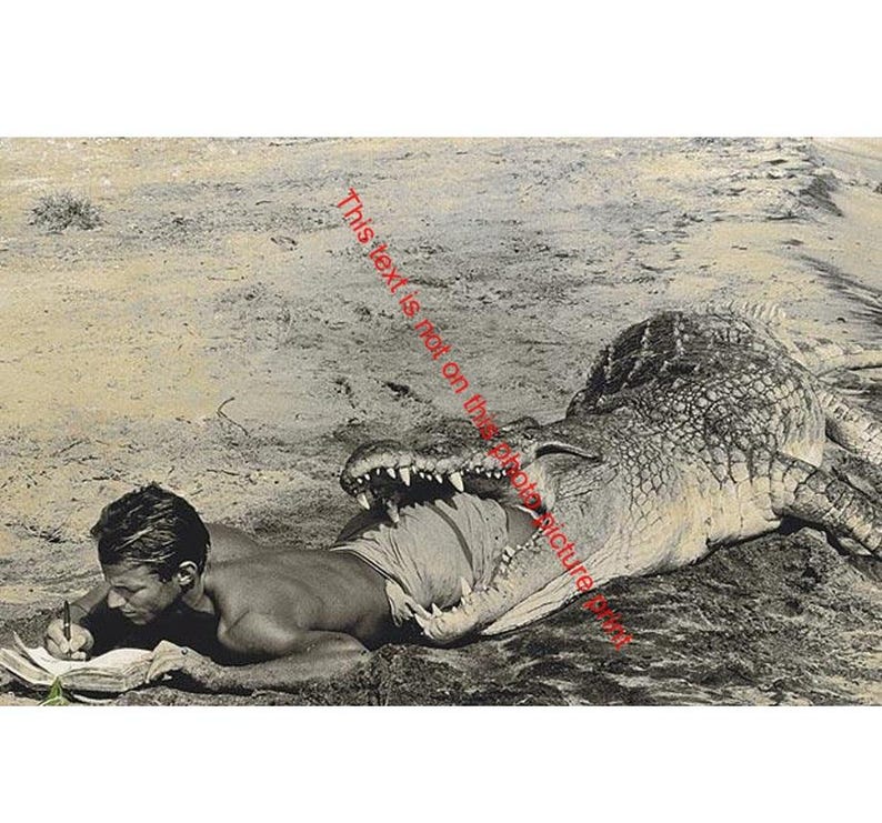 Alligator Eating Man Strange Vintage Photo Crocodile Strange Crazy ...