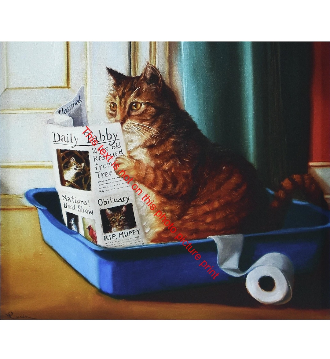 Kitty Throne by Lucia Heffernan Cat Reading Newspaper in Litter Box ...
