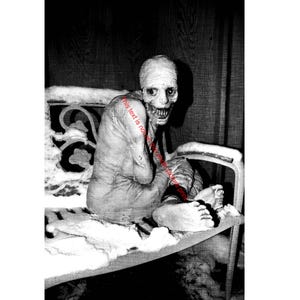 Alien Photo UFO Strange Captured Aliens Weird Area 51 Spacecraft ...