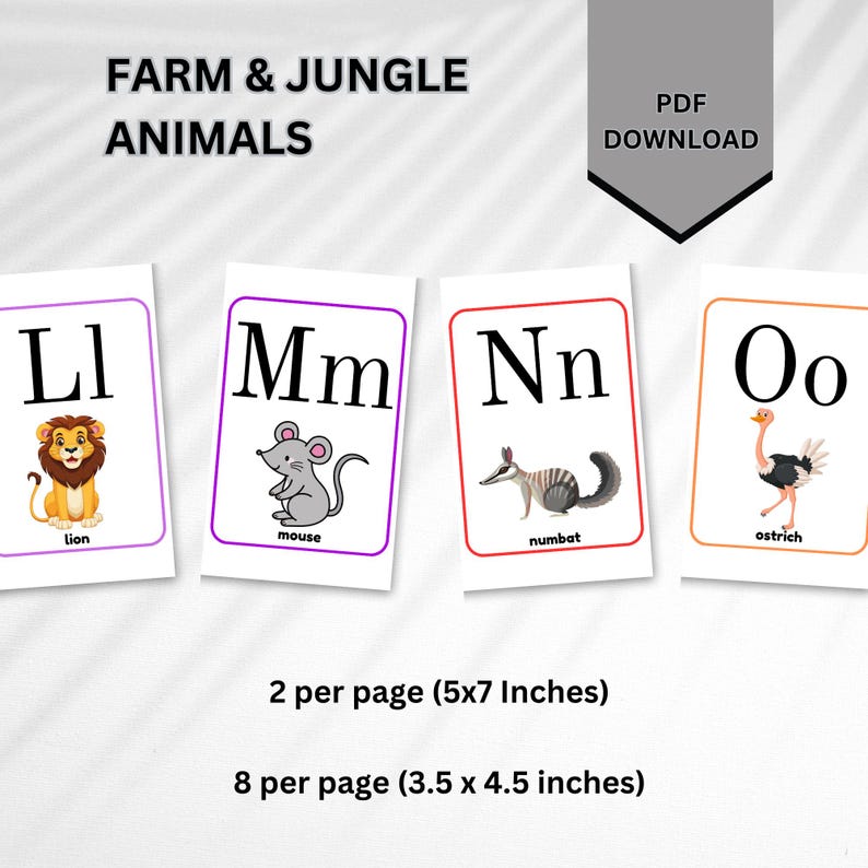 ABC Flashcards for Kids, Jungle & Farm Animal Alphabet Cards ...