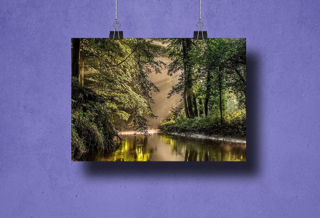 Forest Wall Art Canvas, Forest Tree Art Prints, Forest River Painting ...