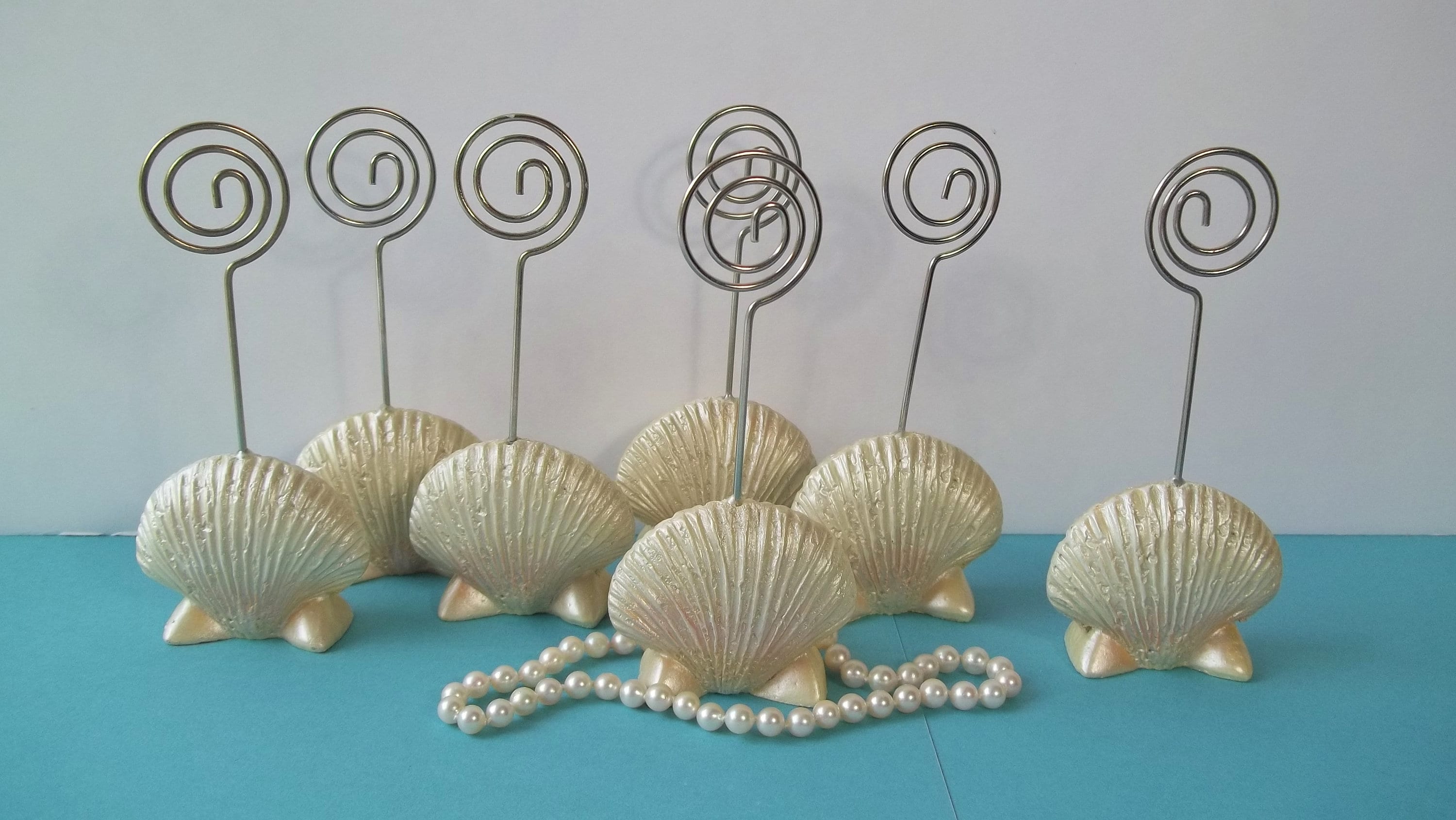 Seashell Table Number Holder Set of 12 Spiral Design Beach | Etsy