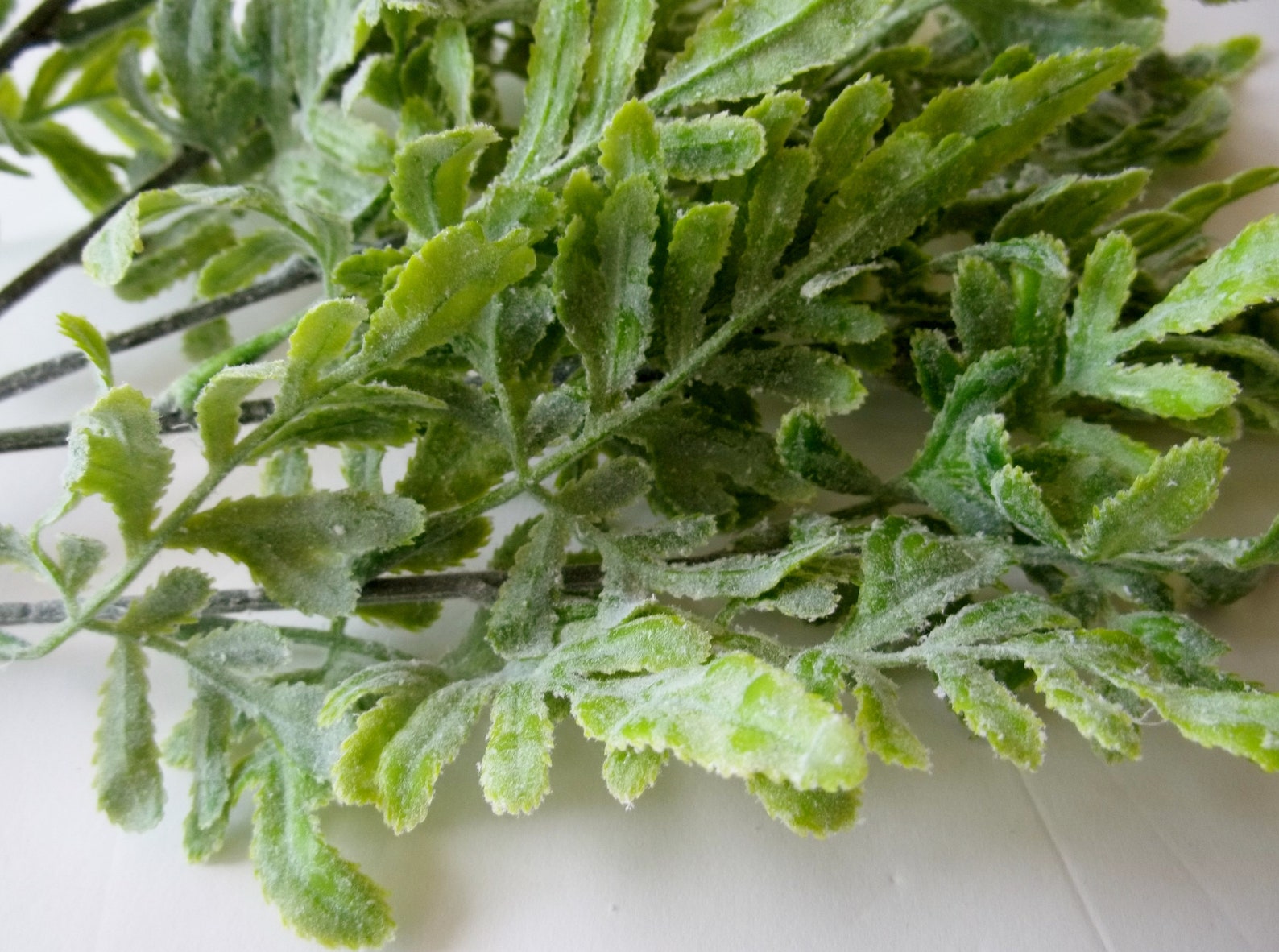 Flocked Dusty Miller Bush 16 Greenery W/ 5 Stems - Etsy