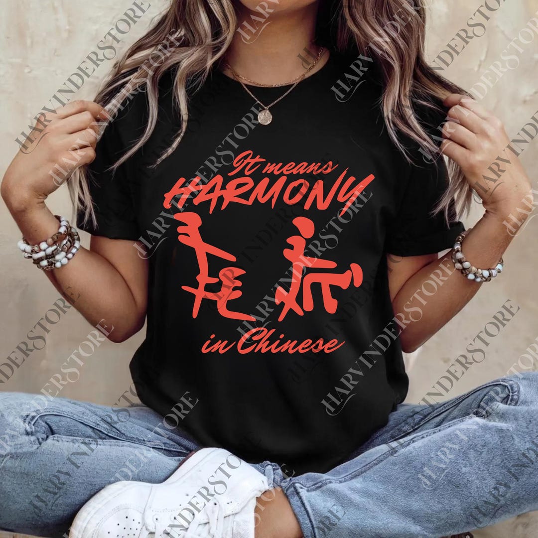 It Means Friendship in Chinese Png, Fake Translation Meme Png ...