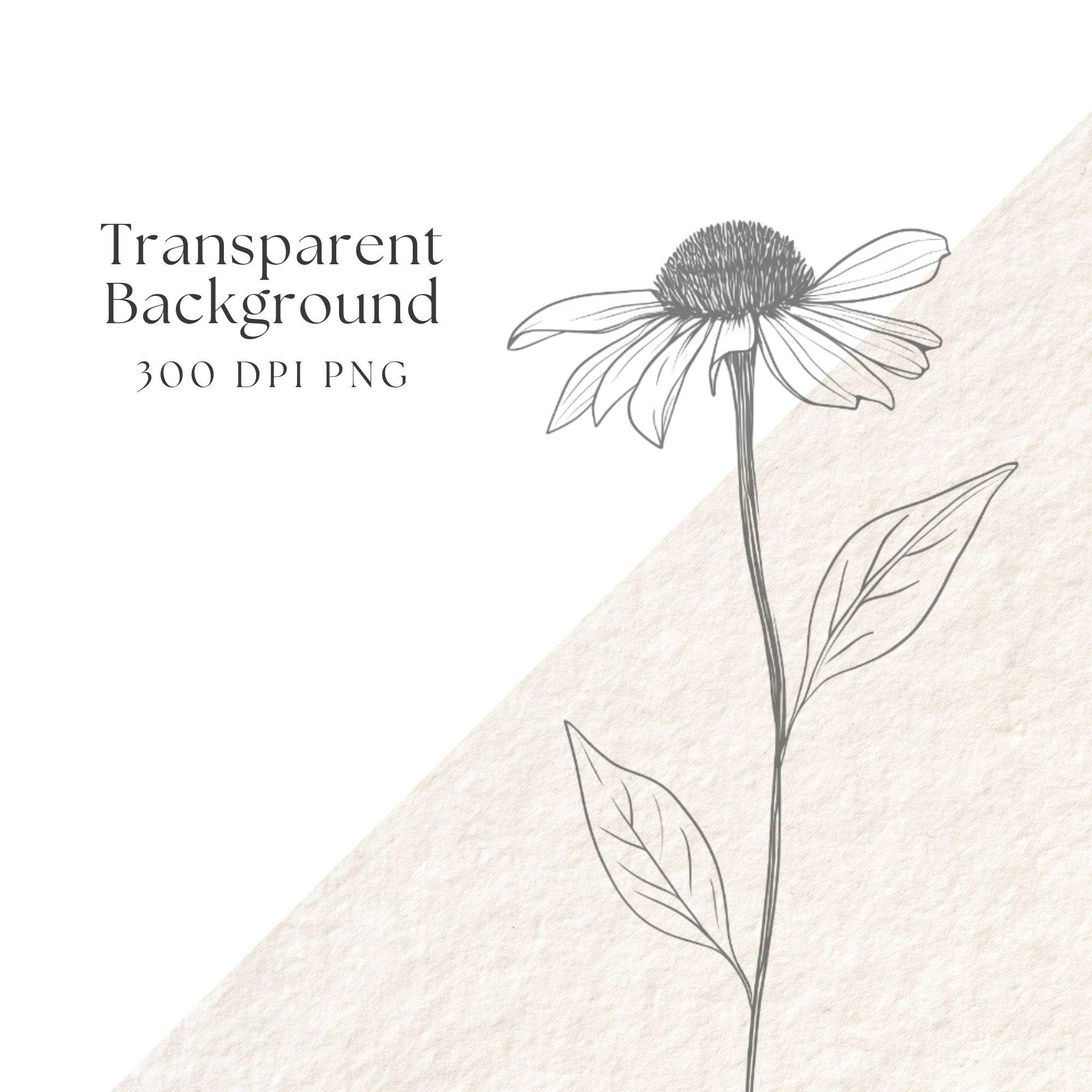 50 Wildflower Fine Line Clipart | Hand-drawn Botanical PNG | Flower ...