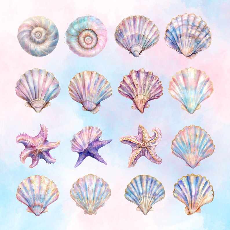 Watercolor Coral Seashell Clipart | 46 Iridescent Pastel PNG | Ocean ...
