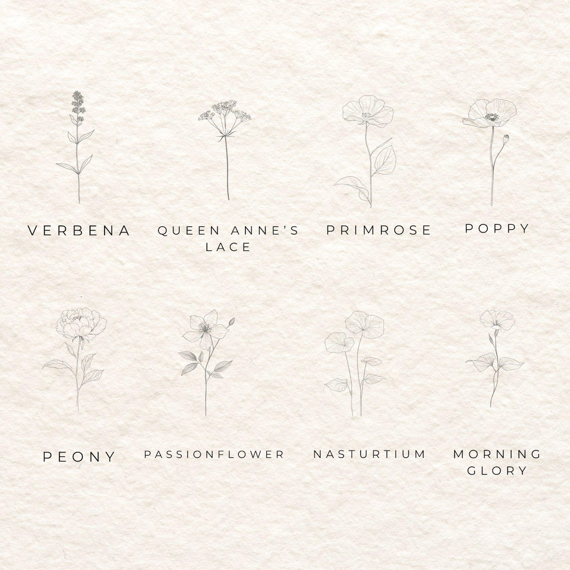 50 Wildflower Fine Line Clipart | Hand-drawn Botanical PNG | Flower ...