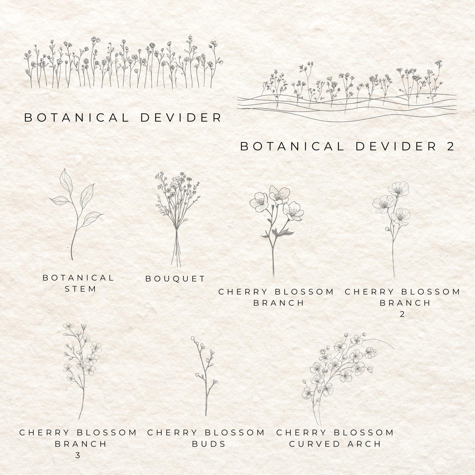 50 Fine Line Flower Clipart Bundle – Apple Blossoms, Spring Floral ...