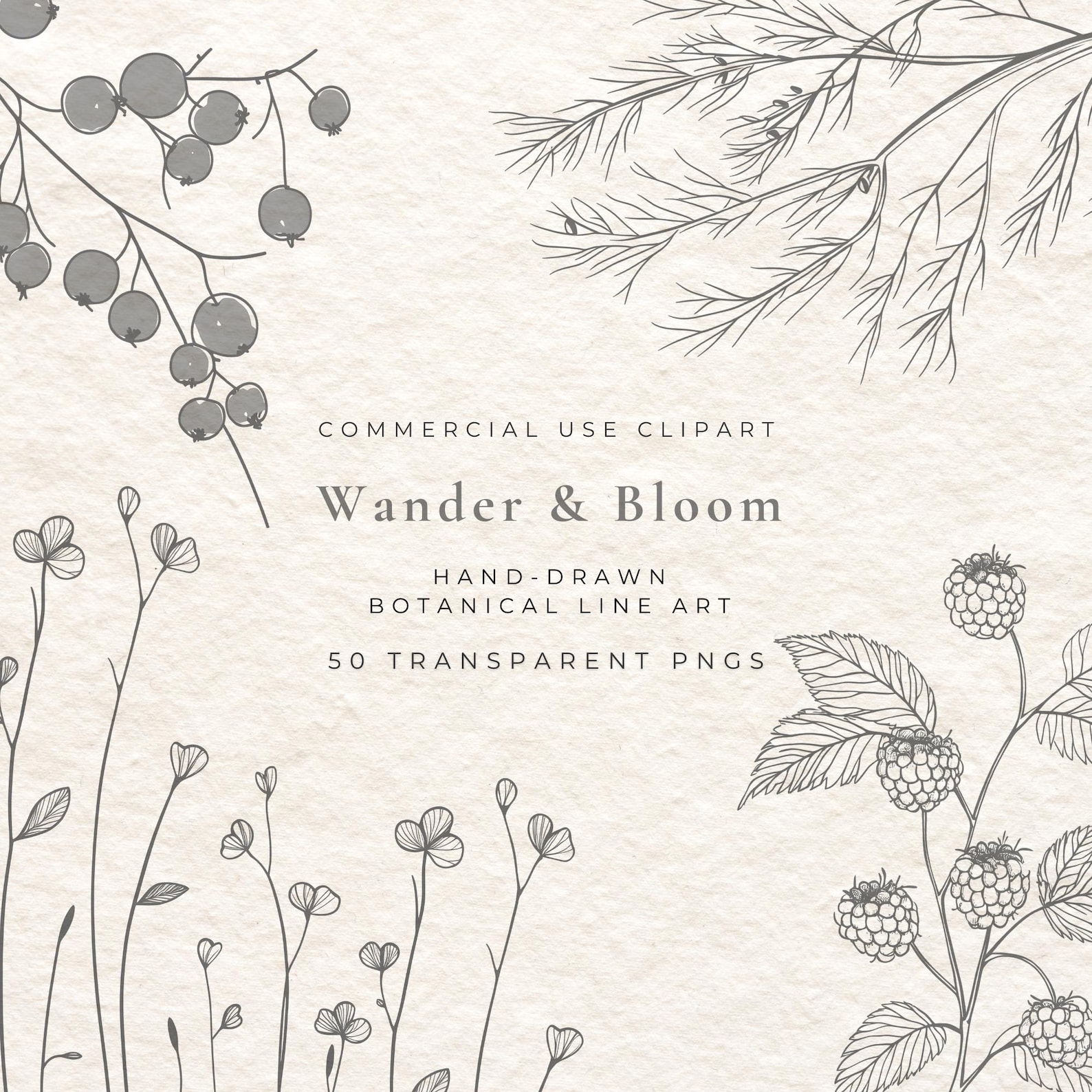 50 Botanical Fine Line Clipart | Herbs, Berries, Pods, Minimal Plant ...