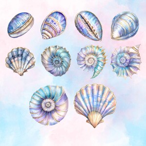 Watercolor Coral Seashell Clipart | 46 Iridescent Pastel PNG | Ocean ...
