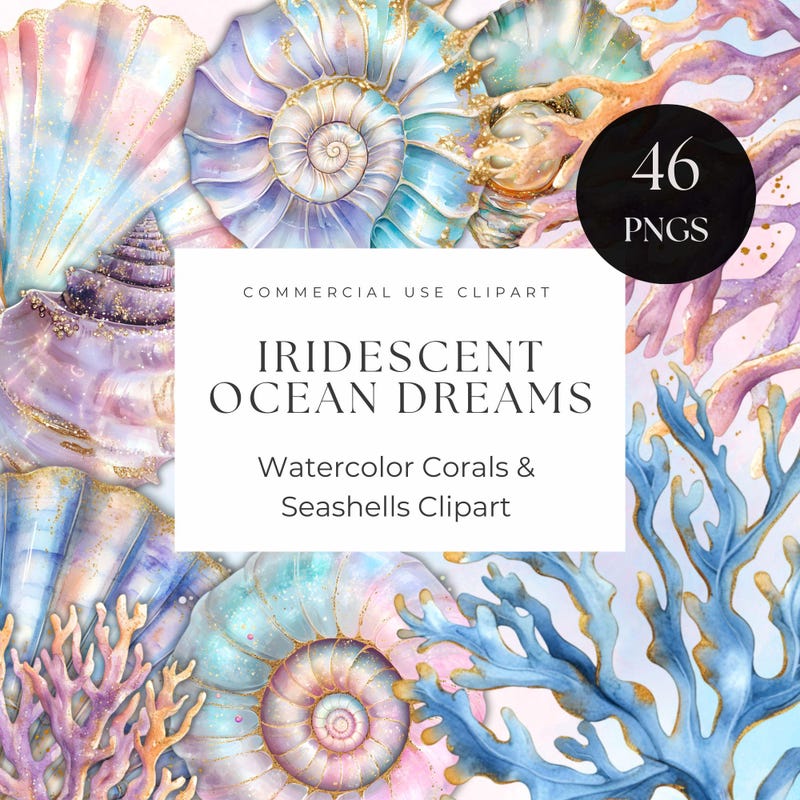 Pastel Shells Clipart - Etsy UK