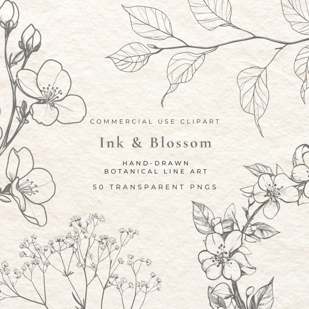 50 Fine Line Flower Clipart Bundle – Apple Blossoms, Spring Floral ...
