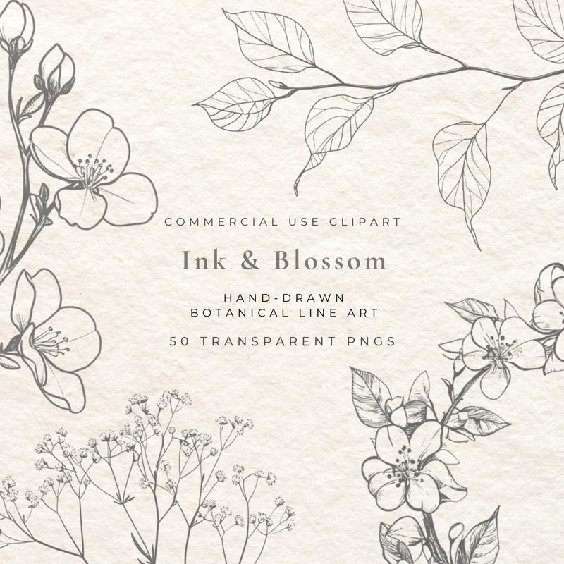 Apple Art Drawing Line - Etsy UK