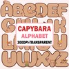 Panda Alphabet, Bear Fonts, Doodle Alphabet, Animal Alphabet Png, Pdf ...