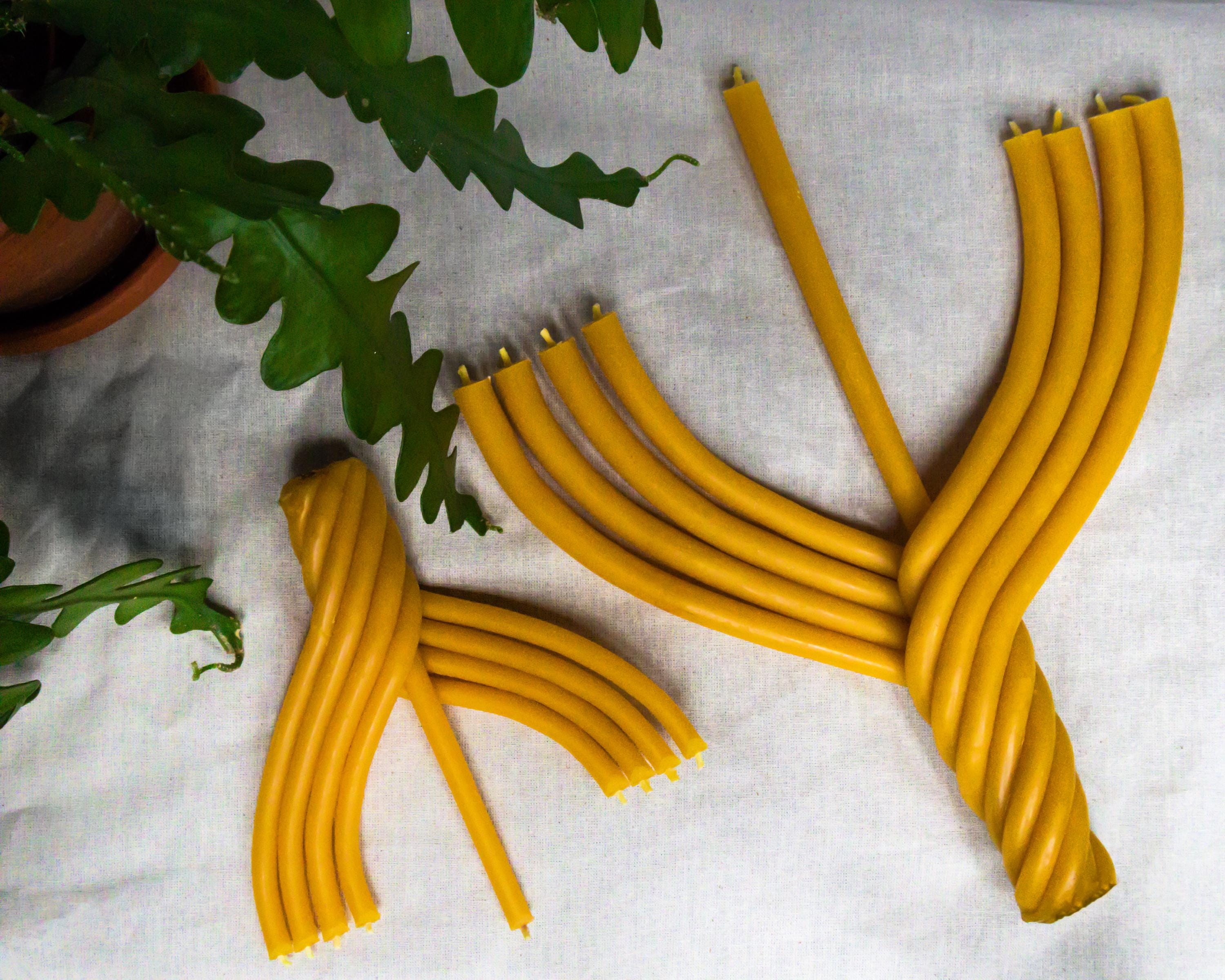 Beeswax Hanukkah Menorah Candle - Hanukkah Candles - Jewish Holiday ...