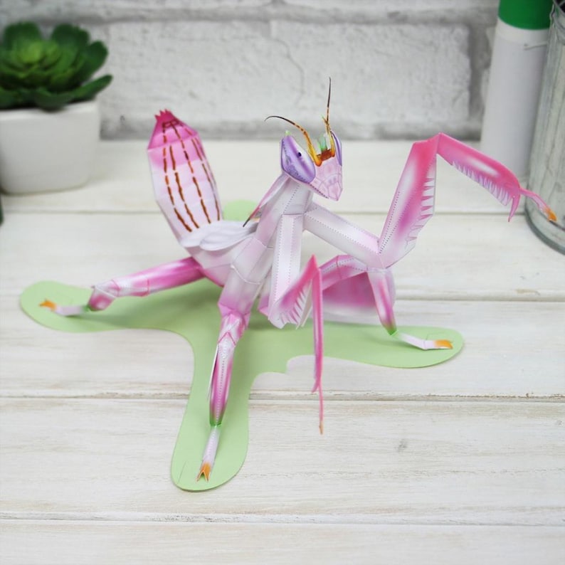 Orchid Mantis Papercraft, Hymenopus Coronatus, Insect, Paper Model ...