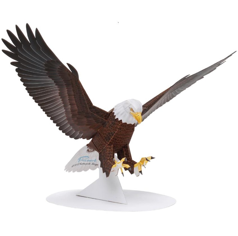 Bald Eagle, Bird, Paper Model, Papercraft, Papercraft Template Kit ...