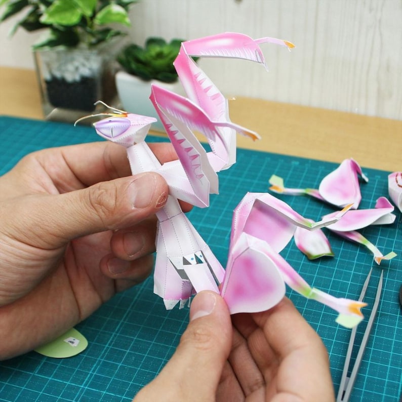 Orchid Mantis Papercraft, Hymenopus Coronatus, Insect, Paper Model ...