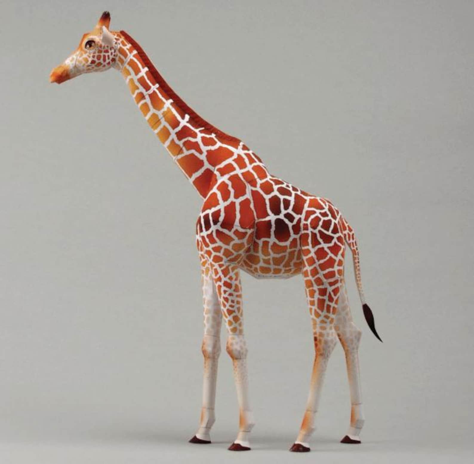Giraffe Papercraft, Paper Model, Papercraft, Papercraft Template Kit ...