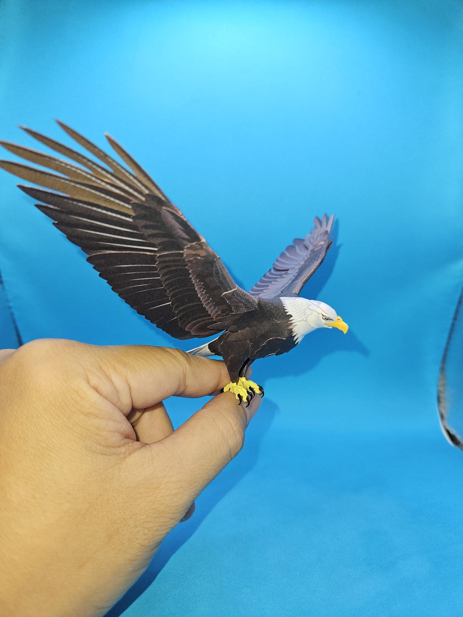 Bald Eagle, Bird, Paper Model, Papercraft, Papercraft Template Kit ...