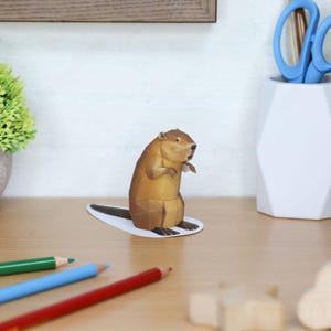 Beaver Papercraft, Genus Castor Paper Model, Papercraft Template Kit ...