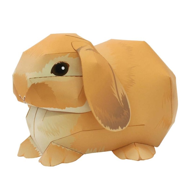 Holland Lop Papercraft, Paper Model, Papercraft Template Kit, Animal ...