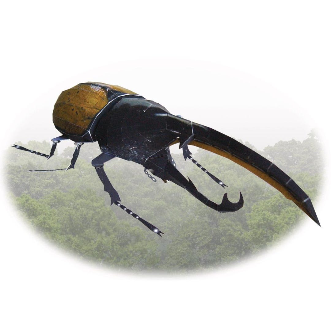 Hercules Beetle Papercraft, Dynastes Hercules, Rhinoceros Beetle ...