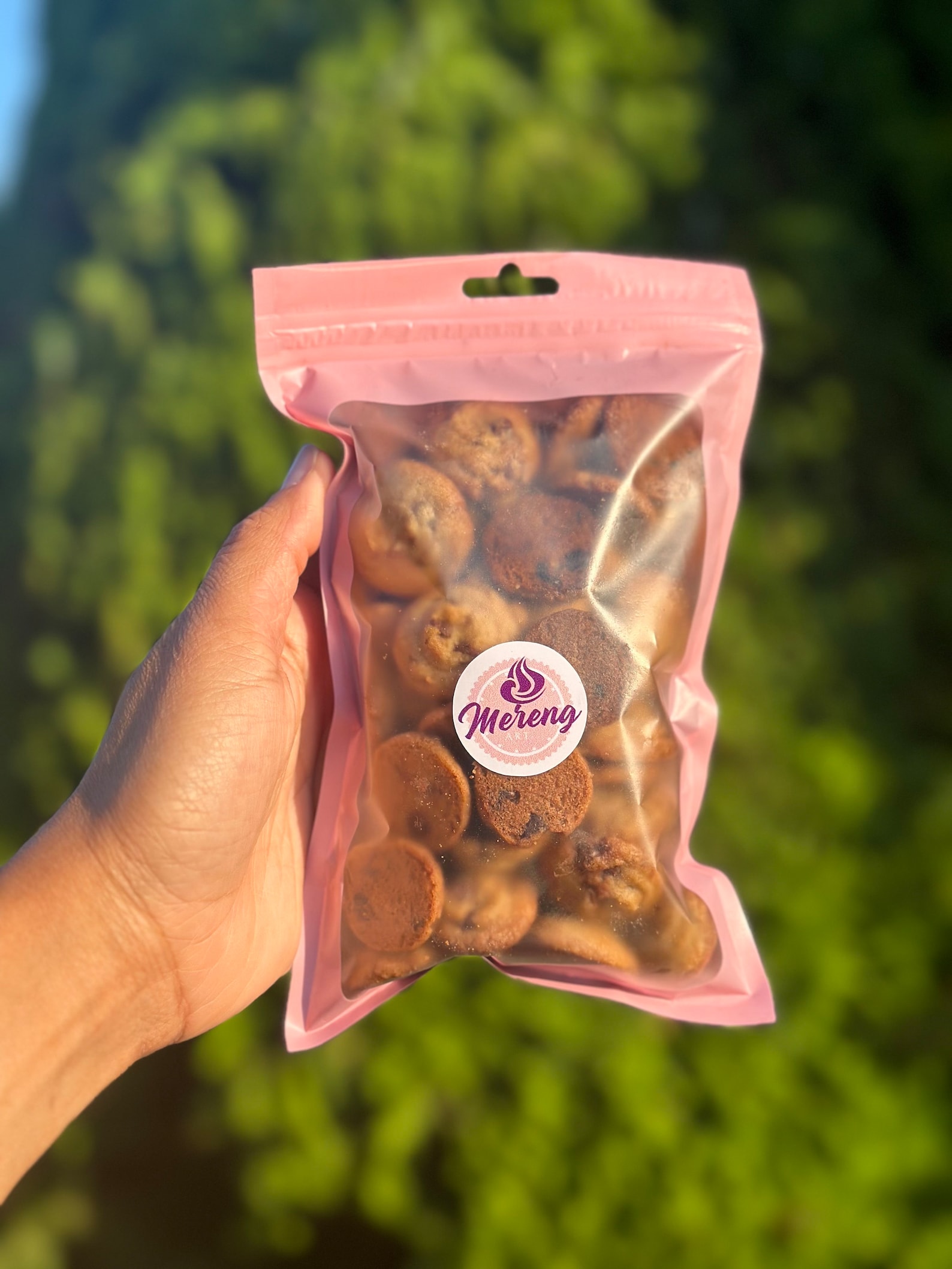 Mini Chocolate Chip Cookies – Crunchy, Sweet, and Packed With Chocolate ...