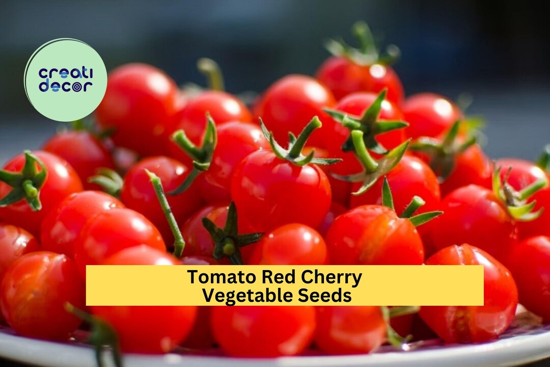 Tomato Red Cherry Seeds – 100mg for Planting, Heirloom Variety, Sweet ...
