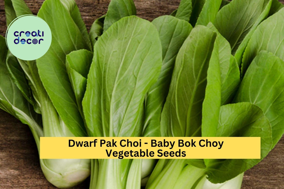 Dwarf Pak Choi Baby Bok Choy Seeds – 500mg for Planting, Heirloom ...