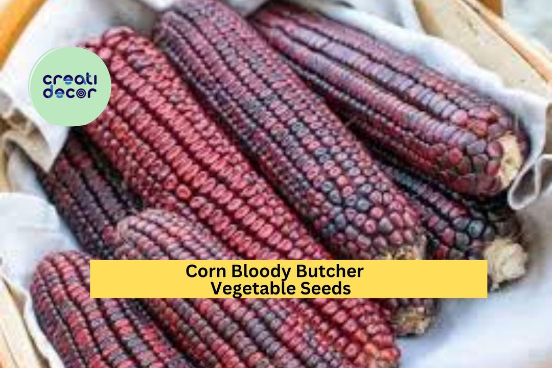 Corn Bloody Butcher Seeds – 5g for Planting, Heirloom Variety, Deep Red ...