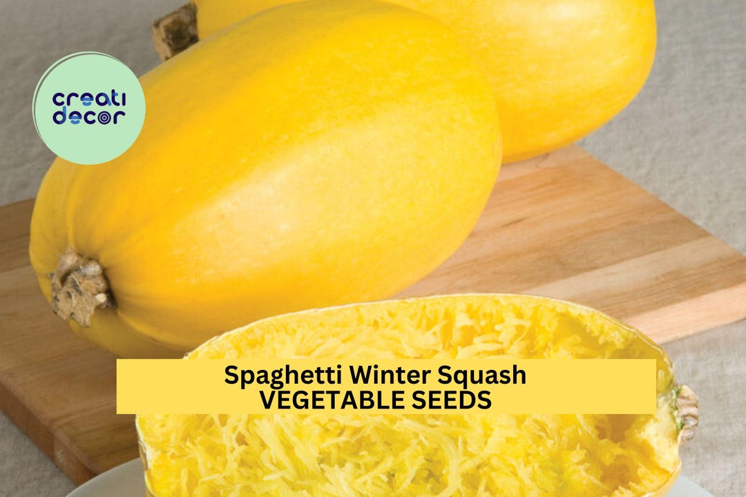 Spaghetti Squash Seeds – 1g for Planting, Heirloom Winter Squash, Mild ...