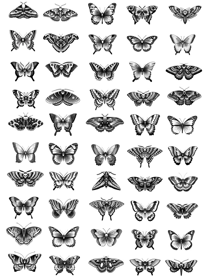 Digital File - 50 Butterfly/moth Poster Blackwork Style - Etsy