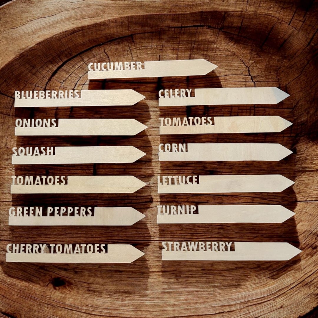 Decorative Garden Stakes Vegetable Markers Herb Markers for Outdoor ...