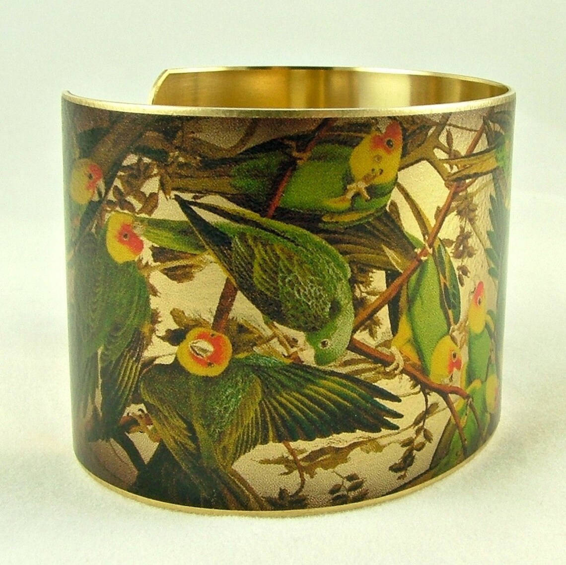 Carolina Parakeet Bracelet John Audubon Parrot Bird Cuff - Etsy