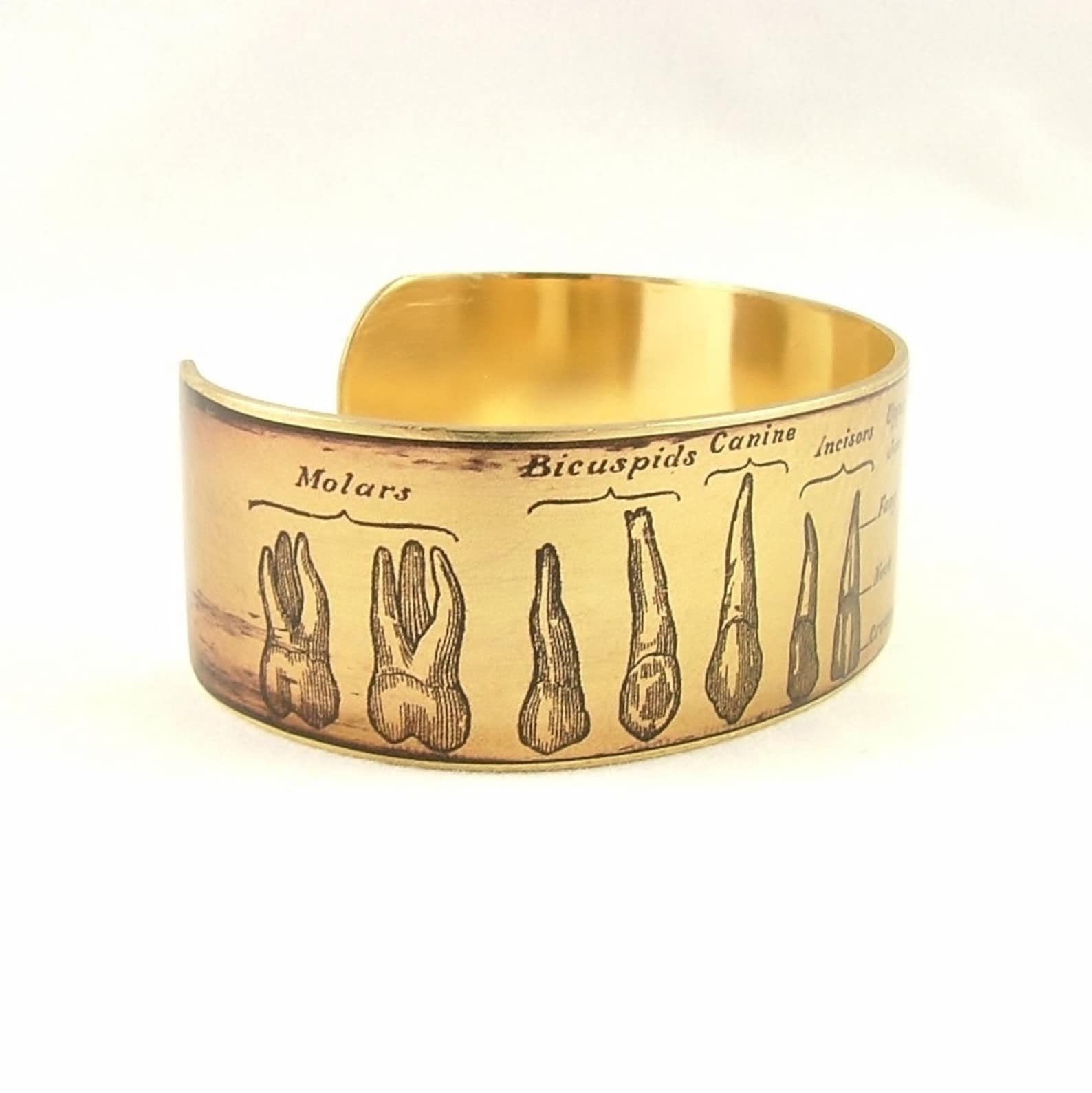 Anatomical Teeth Cuff Bracelet Tooth Jewellery Dentist | Etsy
