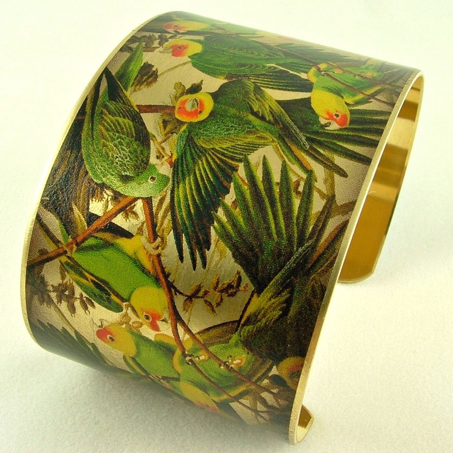 Carolina Parakeet Bracelet John Audubon Parrot Bird Cuff - Etsy
